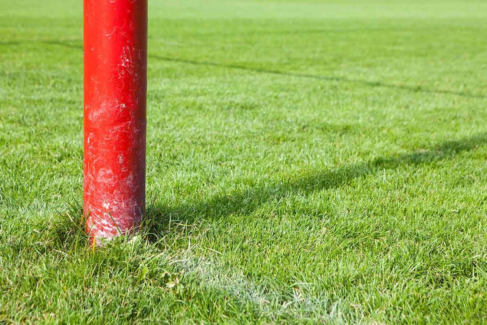 News - Hoylake RFC